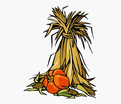 Growing Corn Stalks Clip Art