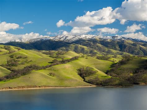Naturetastic Blog Del Valle Regional Park Part 1 Livermore Ca