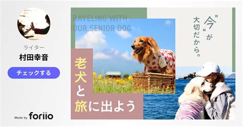 【老犬と旅行】老犬と旅行へ行こう！注意点とおすすめスポット