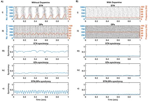 The Response Of Stn Gpe Network Without A And With B Dopamine Raster