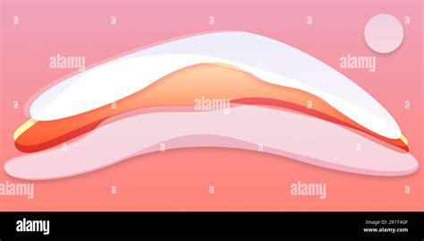 Modern Abstract Backdrop Illustration With Curved Overlapping Fluid