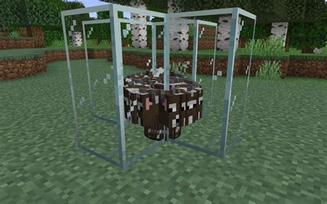 What Is Minecraft Entity Cramming Video Flicks