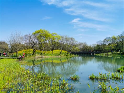 西溪湿地素材图片下载 素材编号03327265 素材天下图库