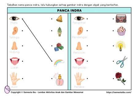 Tema Diri Sendiri Lembar Kerja Anak TK PAUD