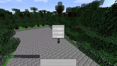 Pixelmon Episode 1 The Training Begins Youtube