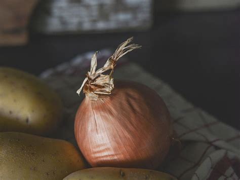 Перетвориться на гниль з яким овочем категорично не можна зберігати цибулю
