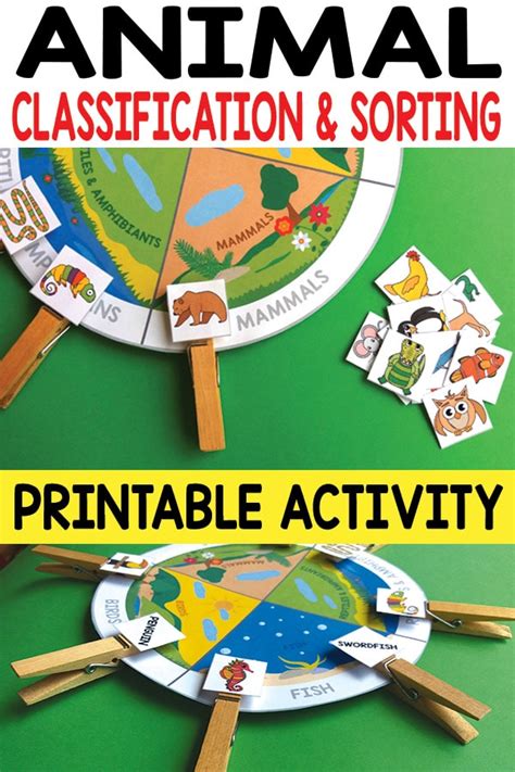 Kindergarten Classification Printable Kindergarten Classification Printable