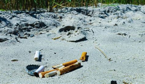 Fumar No Solo Daña La Salud Sino También El Medio Ambiente Advierte