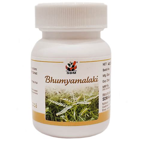 Бхумиамалаки (Bhumyamalaki Capsules, SDM) 100 капсул купить в Бутике ...