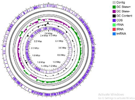 Genome Atlas Of Strain Nt04 The Atlas Shows A Circular View Of The Download Scientific Diagram