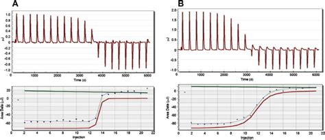 Unsubtracted Calorimetric Binding Heats And Binding Isotherm Obtained Download Scientific
