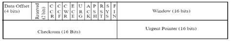 A Portion Of The TCP Header With Suggested Modification Download Scientific Diagram