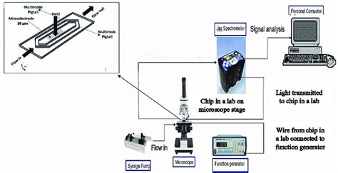 Experimental Setup For Integrated Lab On Chip Download Scientific Diagram