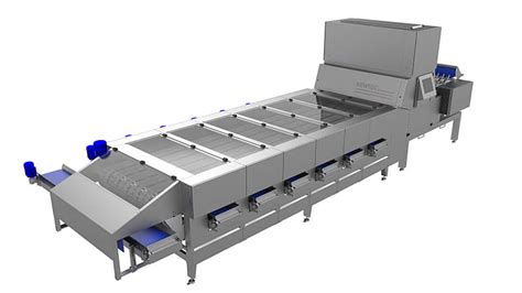 Newtec Optical Sorting Machine Celox P Uhd Packaging Gateway