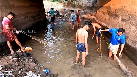 തോട് വറ്റിച്ച് നാടൻ മീൻ പിടുത്തം🎣village Fishingtraditional Fishing