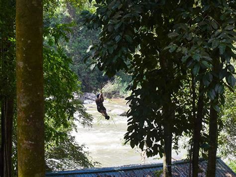 Adventure Day Tour In Kitulgala Kitulgala Adventure Camp