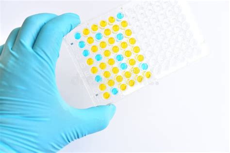 Enzyme Linked Immunosorbent Assay Or ELISA Plate Stock Photo Image Of