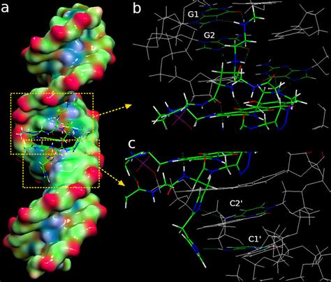 Compound Iv In Complex With The Non Palindromic Sequence Dggc