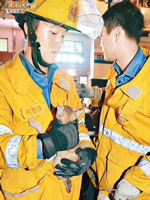 愛心消防拆車救貓BB 東方日報