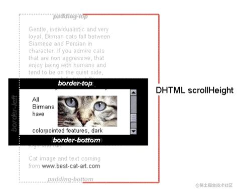Dom Api Liukairui S Blog