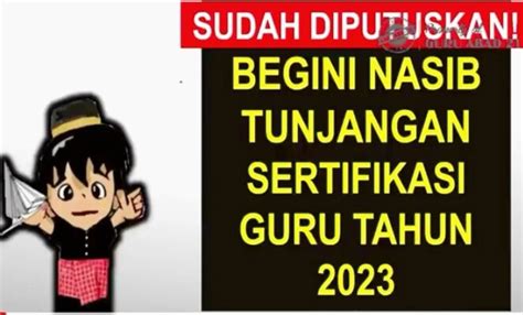 Jenis Tunjangan Profesi Guru TPG Baru Semua Jenjang Usai Sertifikasi
