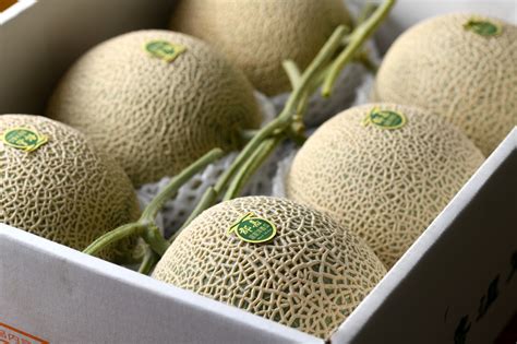 一品香玉荷包（高雄市大樹區果樹產銷班第27班） Added A 一品香玉荷包（高雄市大樹區果樹產銷班第27班）