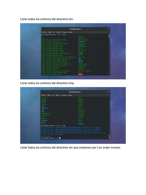 Listar Todos Los Archivos Del Directorio Bin Pdf