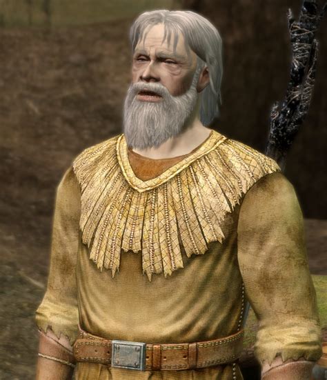 Szalony Pustelnik Dragon Age Wiki Fandom