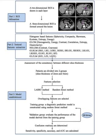 Pancreas Texture Analysis Pearls Educational Tools Ct Scanning Ct Imaging Ct Scan