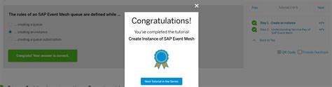 Create Instance Of Sap Cloud Platform Enterprise Messaging Service Issue Sap Tutorials