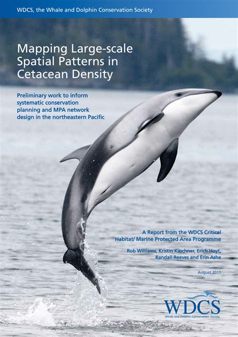Pdf Mapping Large Scale Spatial Patterns In Cetacean Density