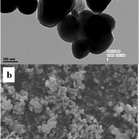 A Tem And B Sem Micrographs Of Gdcro 3 Nanoparticles Download
