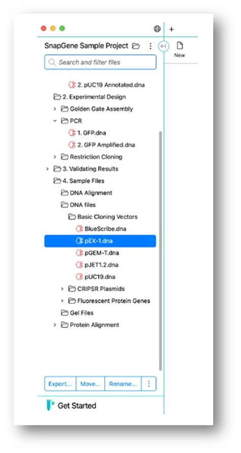 SnapGene 7 0 最新发布 知乎