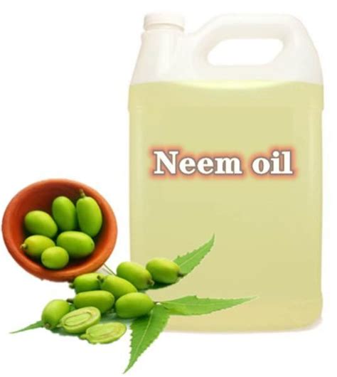Neem Oil Extraction Type Cold Process At Best Price Inr 2000inr