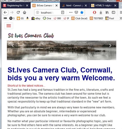Html Cannot Get My Site Logo To Appear On The Same Line As The Hamburger Icon Stack Overflow