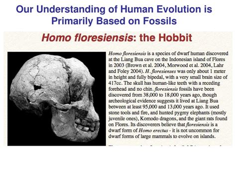 Ppt Our Understanding Of Human Evolution Is Primarily Based On Fossils Powerpoint Presentation
