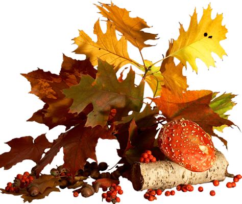Осенний букет листья ПНГ на Прозрачном Фоне • Скачать Png Осенний букет листья