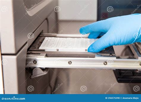 Scientist Loading Samples To A Rt Pcr Thermal Cycler At The Laboratory