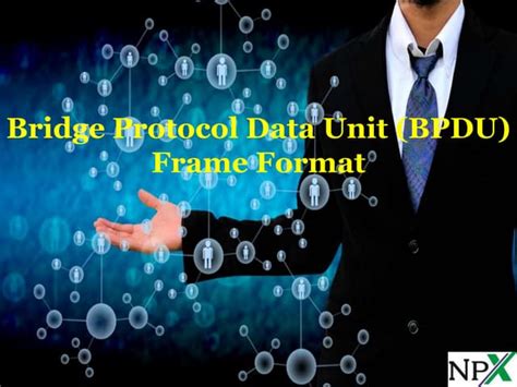 Bridge Protocol Data Unit Bpdu Frame Format Pptx
