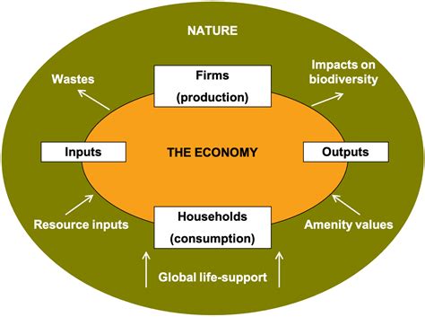 Ecological Economics And The Circular Economy Uhero