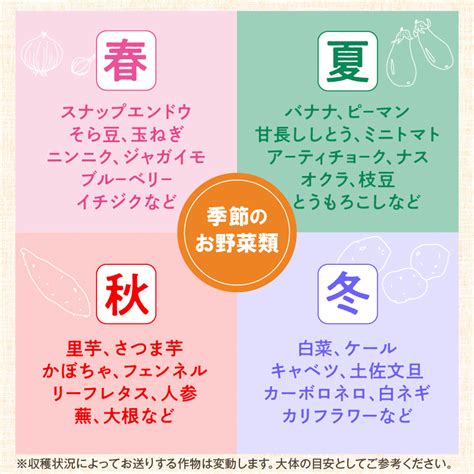 農業姉妹がこだわって栽培！旬の厳選野菜10種 半年定期便【024a 017】 返礼品一覧 大阪府泉南市ふるさと納税特設サイト