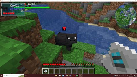 minecraft 1 16 5 te siyah domuz çıktı technopat sosyal