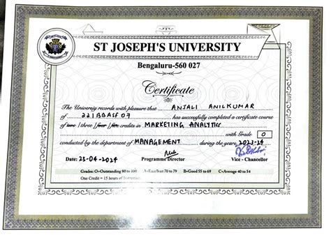 Anjali Anilkumar On Linkedin Marketinganalytics Stjosephsuniversity Coursecompletion