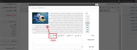 22733 Image Demo Align Arabic RTL WordPress Trac