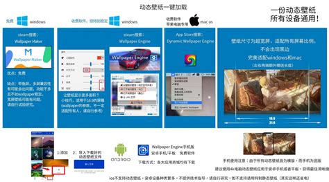 如何安装动态壁纸 货摊网