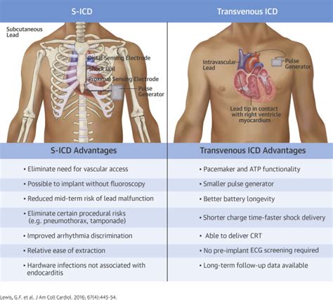 Treatment Lmna Cardiac