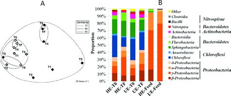 A 2d Nmds Map Based On The Semiquantitative Analysis Of The Dgge