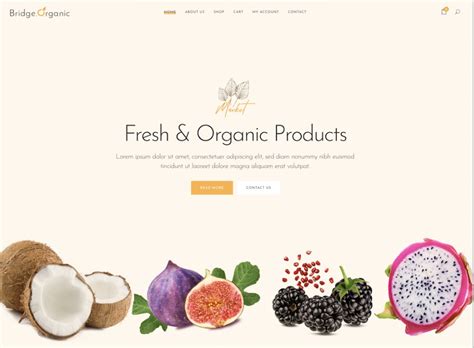 Best WordPress Responsive Themes For WooCommerce To Build Awesome Online Store WPCred