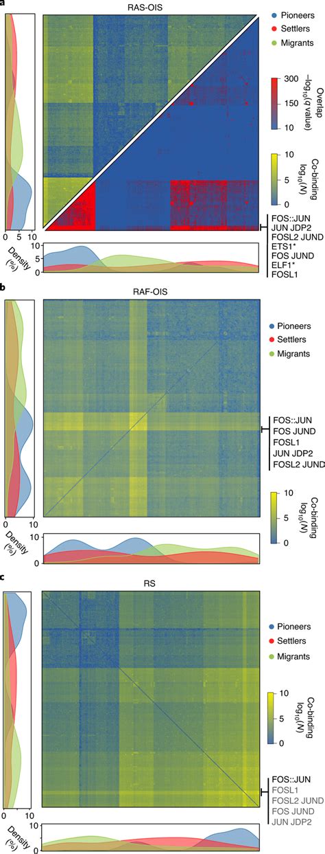 A Hierarchical Tf Network Defines The Senescence Transcriptional Download Scientific Diagram