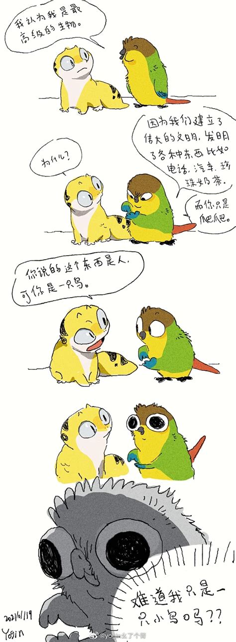 小丑竟是我自己神烦鸟底迪酱守宫桂圆 花瓣网